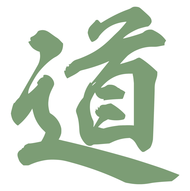 Over ons – Yatagarasu Aikido Utrecht